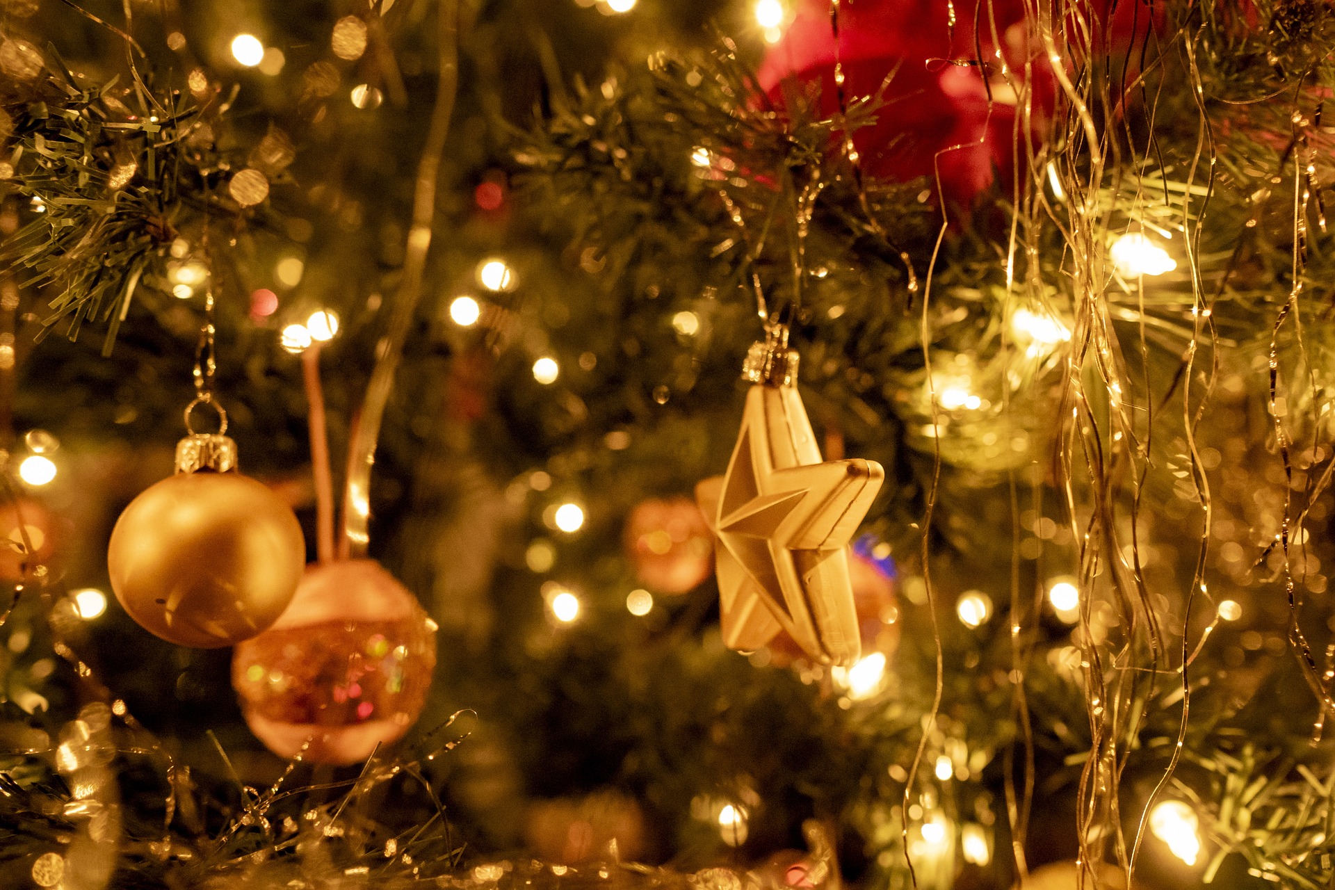 Why is Christmas celebrated on 25th December - WALK WITH FATHER